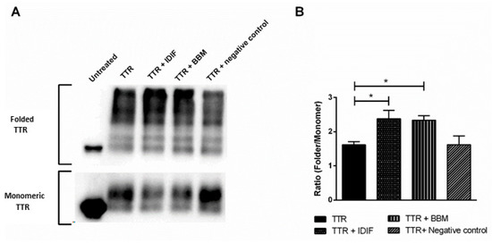 Repurposing Benzbromarone for Familial Amyloid Polyneuropathy: A New ...
