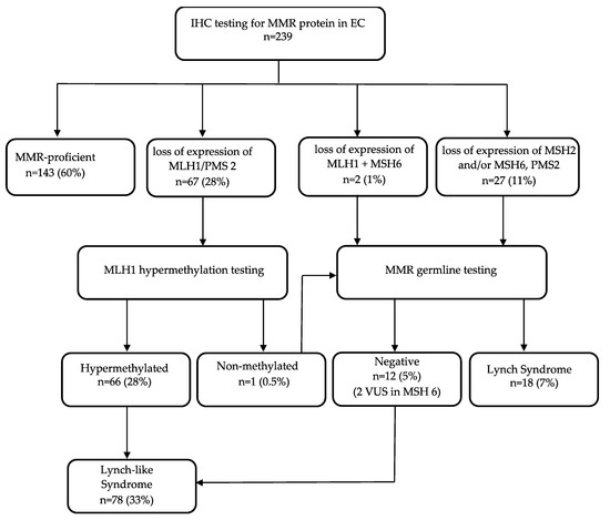 IJMS | Free Full-Text | An Analysis of Clinical, Surgical, Pathological ...