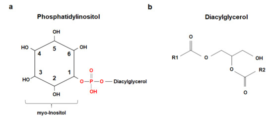 Inositol Polyphosphate-Based Compounds as Inhibitors of ...