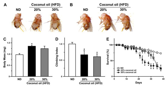 Functional Characterization of Gomisin N in High-Fat-Induced Drosophila ...