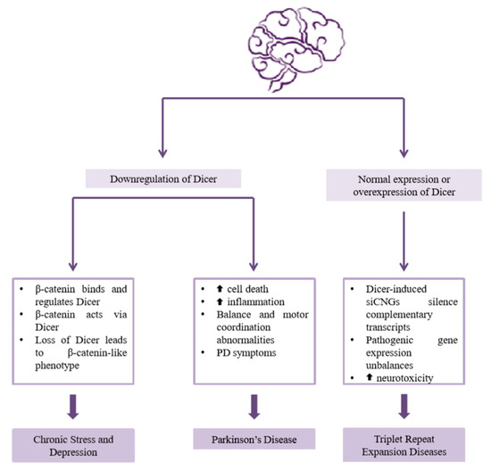 Dicing the Disease with Dicer: The Implications of Dicer Ribonuclease ...