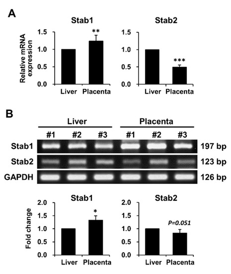 Identifying Stabilin-1 and Stabilin-2 Double Knockouts in Reproduction ...