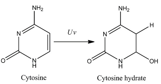 Focus on UV-Induced DNA Damage and Repair—Disease Relevance and ...