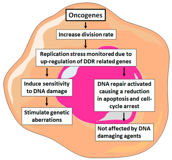 Targeting DNA Repair Pathways in Hematological Malignancies
