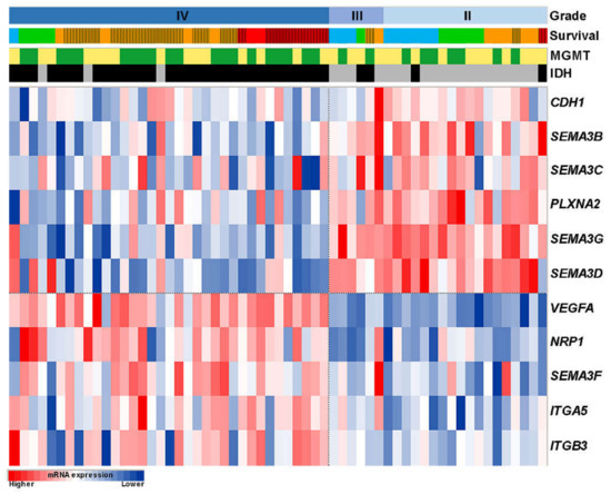 A SEMA3 Signaling Pathway-Based Multi-Biomarker for Prediction of ...