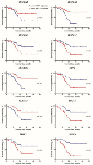 A SEMA3 Signaling Pathway-Based Multi-Biomarker for Prediction of ...