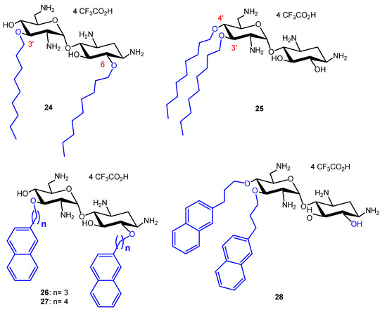 Amphiphilic Aminoglycosides as Medicinal Agents