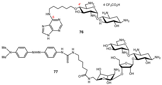 Amphiphilic Aminoglycosides as Medicinal Agents