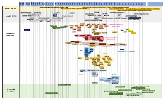 From 1957 to Nowadays: A Brief History of Epigenetics