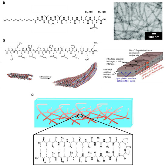 Current Progress in Cross-Linked Peptide Self-Assemblies
