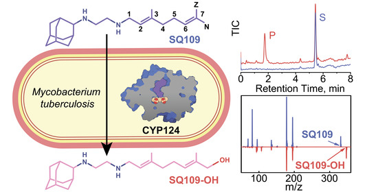 IJMS | Free Full-Text | Hydroxylation of Antitubercular Drug Candidate ...