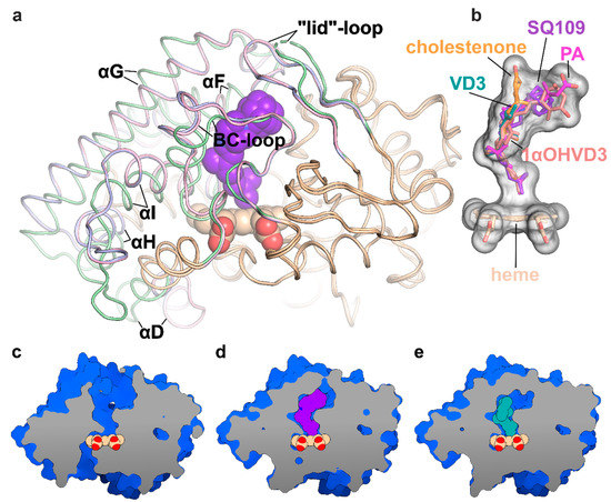 Hydroxylation of Antitubercular Drug Candidate, SQ109, by Mycobacterial ...