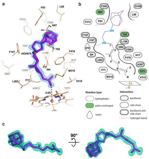 Hydroxylation of Antitubercular Drug Candidate, SQ109, by Mycobacterial ...
