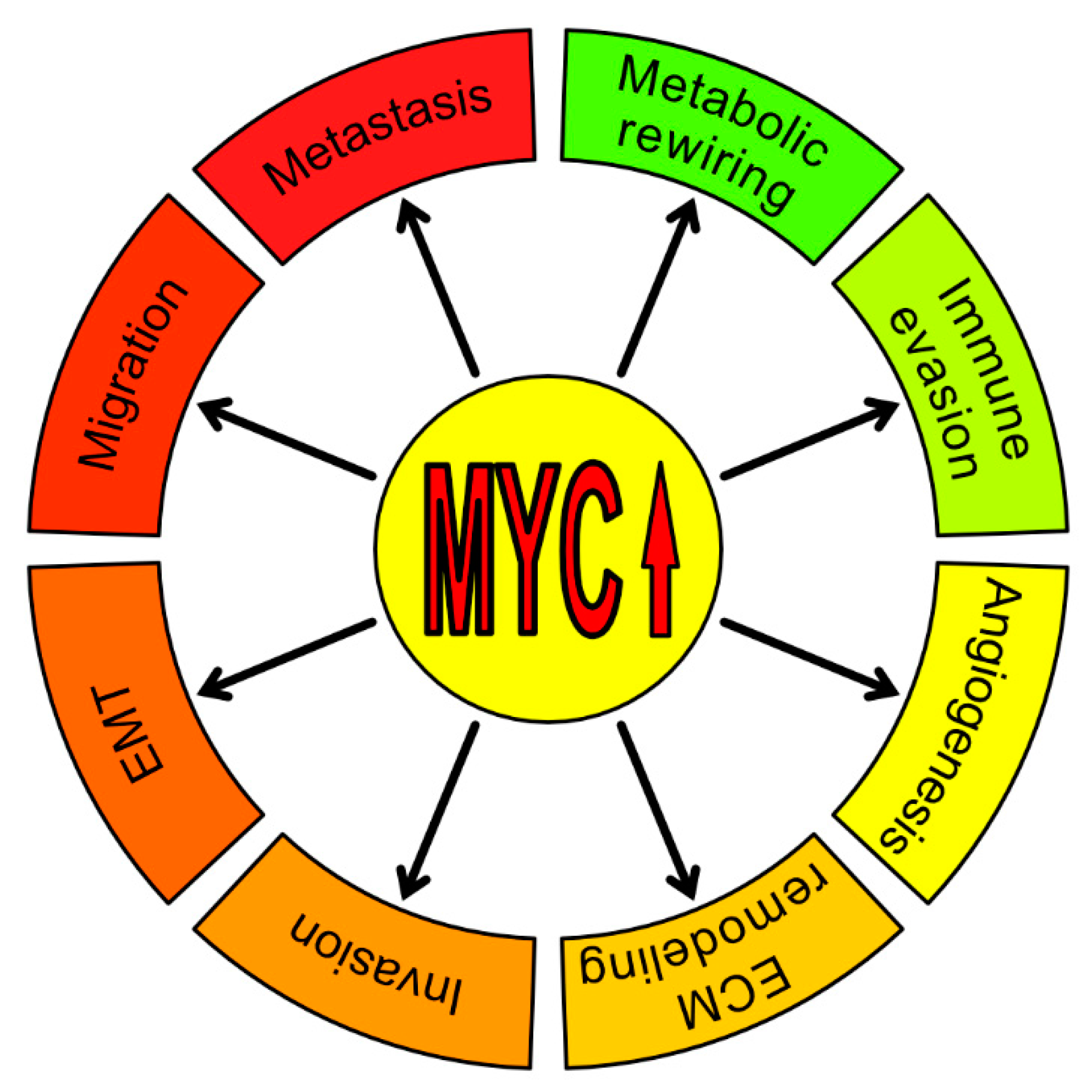 MYC as a Multifaceted Regulator of Tumor Microenvironment Leading to ...