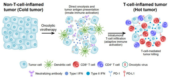 Combination Immunotherapy Using Oncolytic Virus for the Treatment of ...