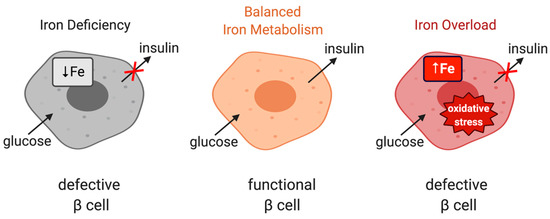 Regulatory Connections between Iron and Glucose Metabolism