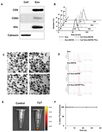 Identification of Lymphatic and Hematogenous Routes of Rapidly Labeled ...