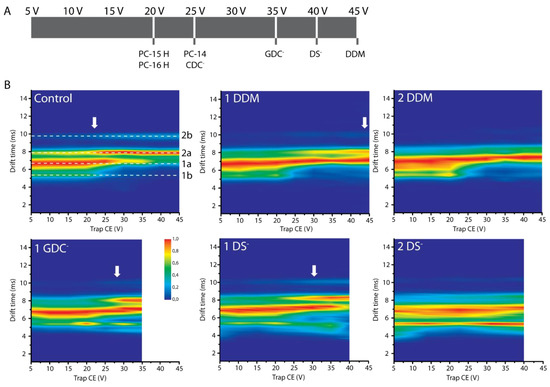 Effects of Detergent on α-Synuclein Structure: A Native MS-Ion Mobility ...