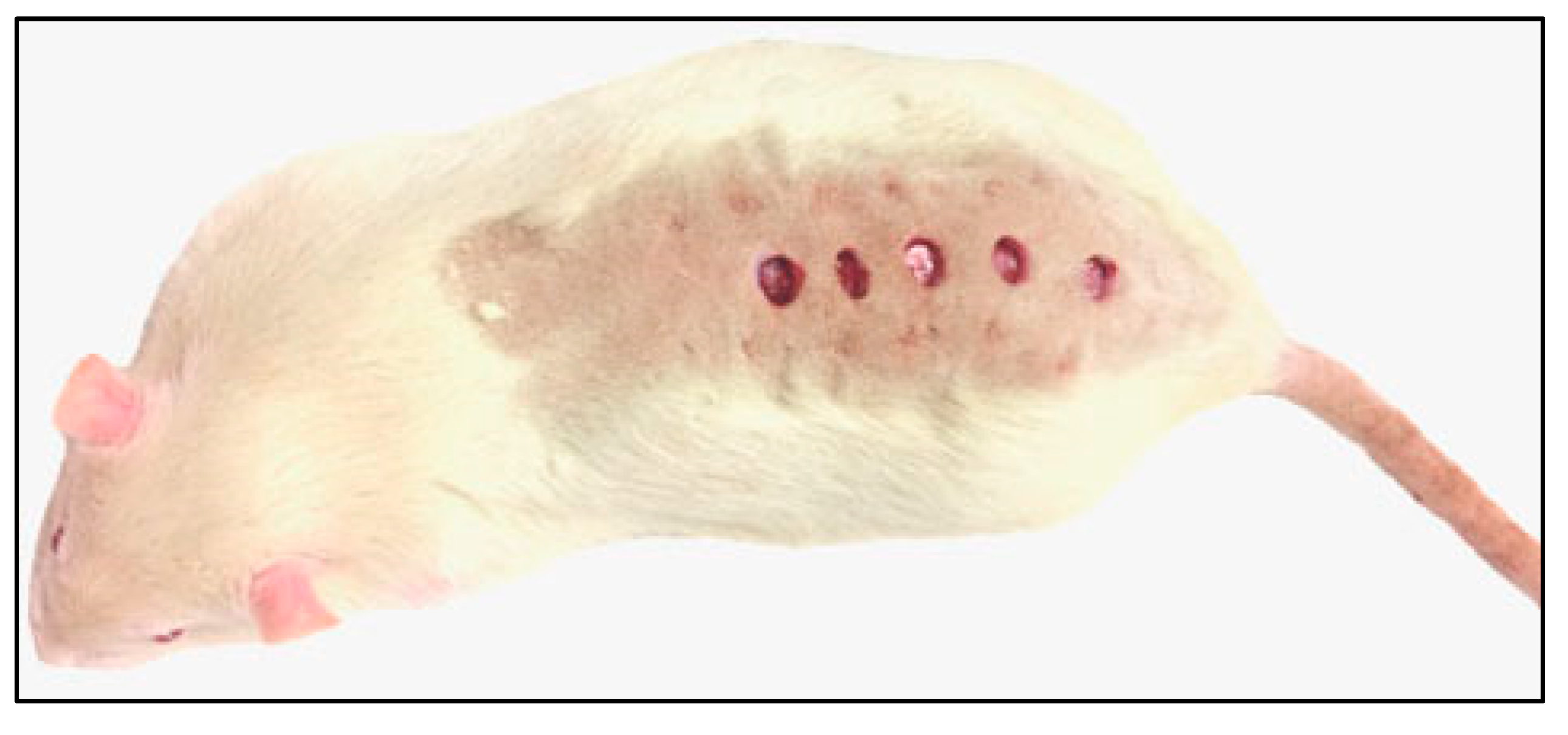 Comparison of Dietary Oils with Different Polyunsaturated Fatty Acid n ...