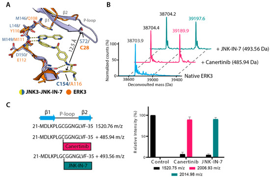 Crystal Structure and Inhibitor Identifications Reveal Targeting ...