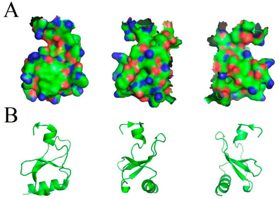 CCL18 in the Progression of Cancer