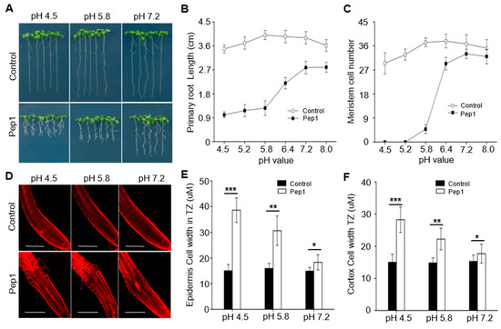 Danger-Associated Peptide Regulates Root Growth by Promoting Protons ...
