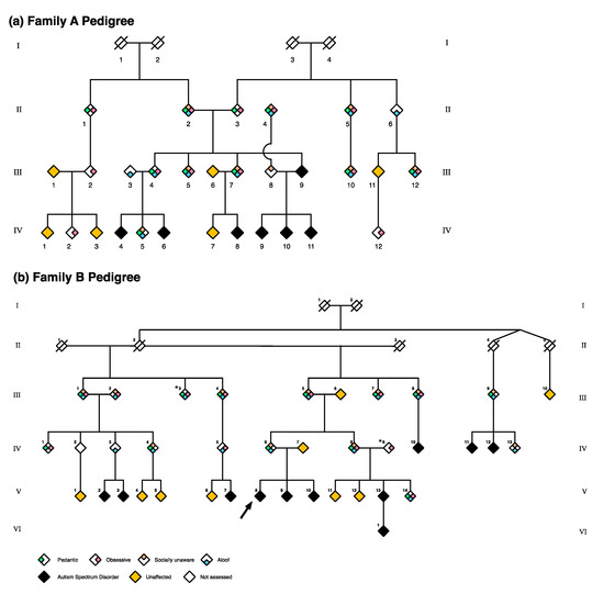Tracing Autism Traits in Large Multiplex Families to Identify ...