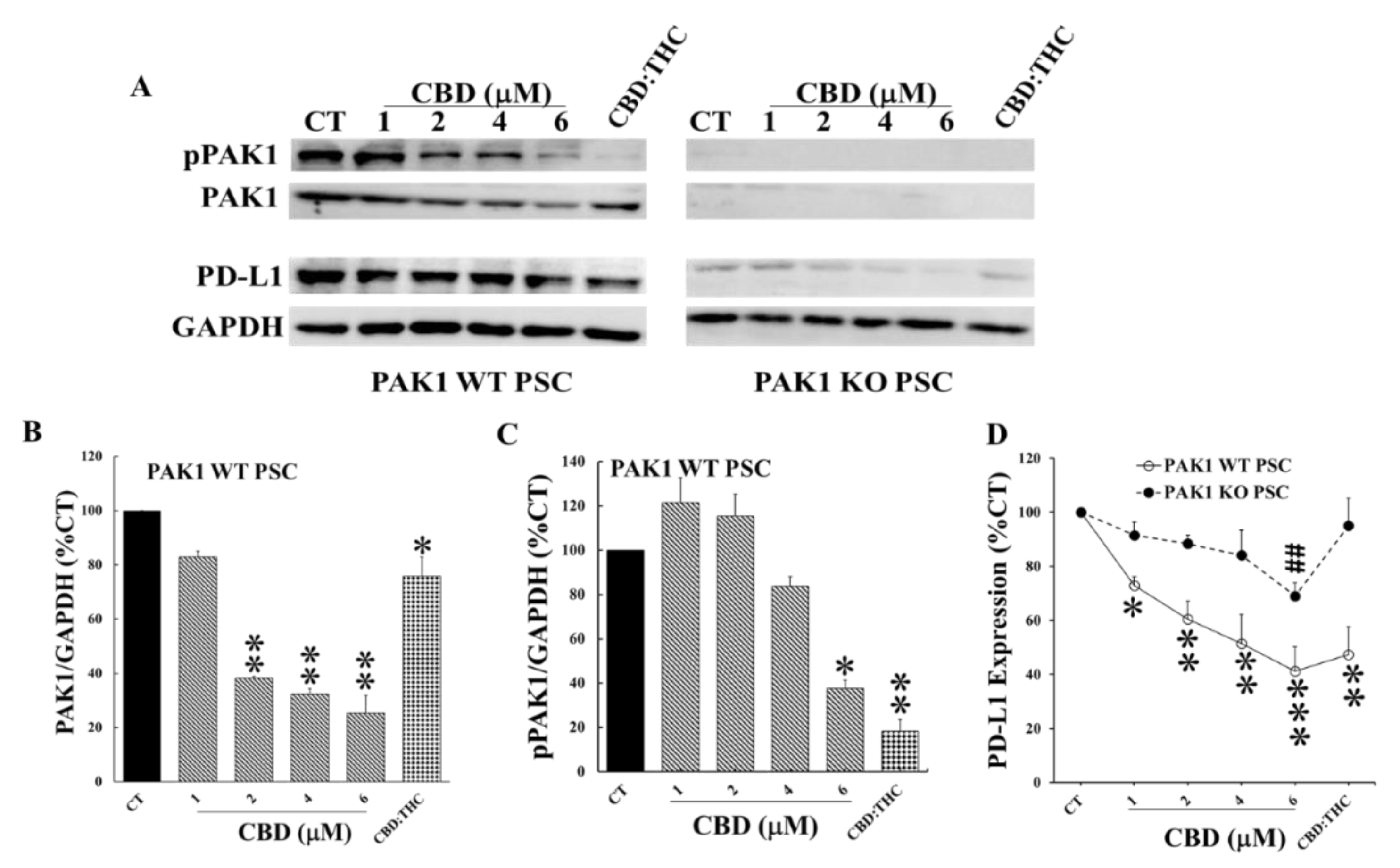 Cannabinoids Inhibited Pancreatic Cancer via P-21 Activated Kinase 1 ...