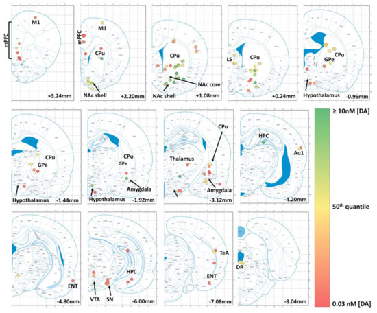 GPCR-Based Dopamine Sensors—A Detailed Guide to Inform Sensor Choice ...