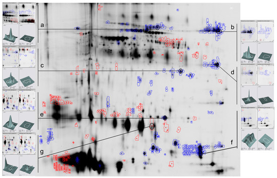 Vasectomy and Photoperiodic Regimen Modify the Protein Profile ...