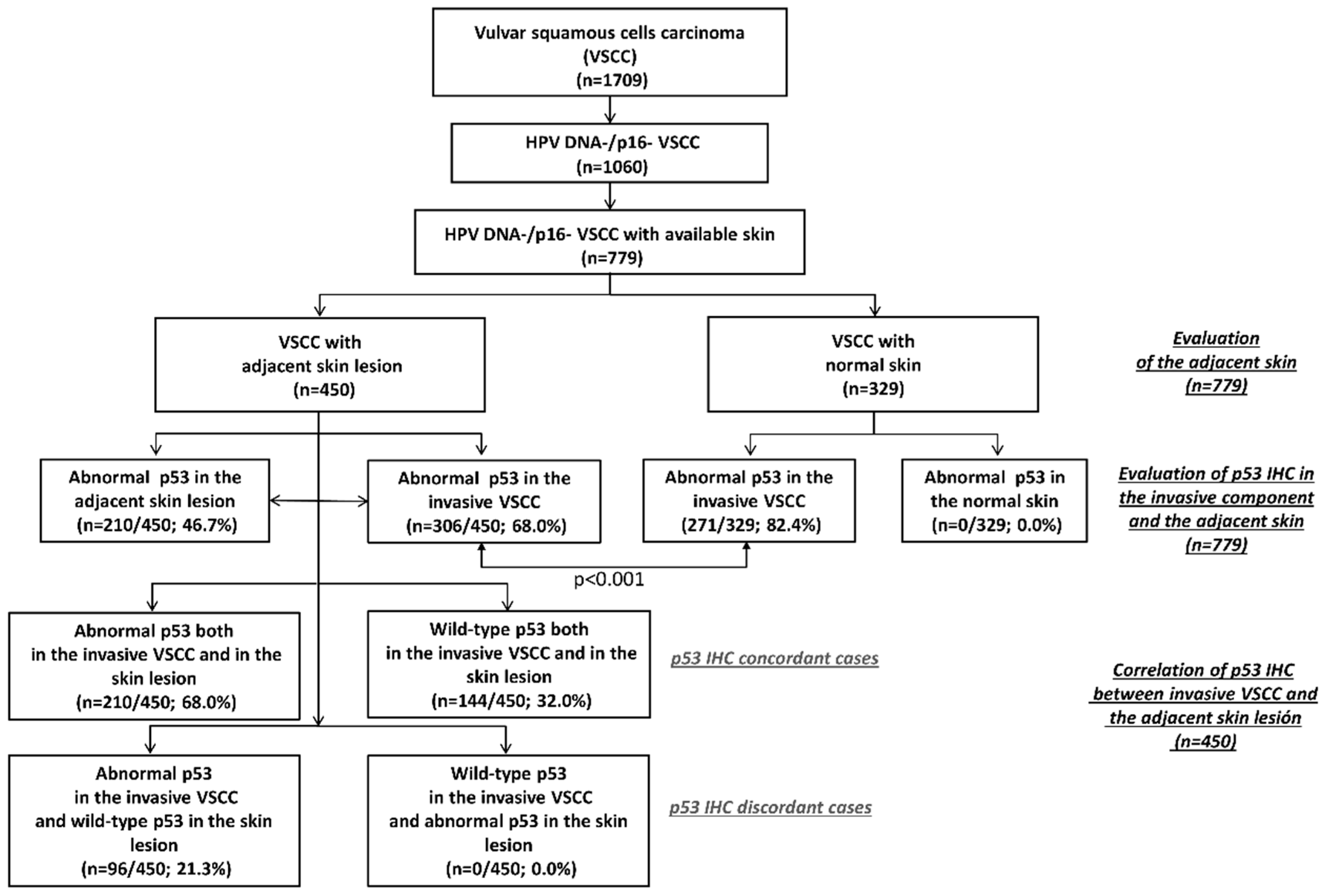 p53 Immunohistochemical Patterns in HPV-Independent Squamous Cell ...