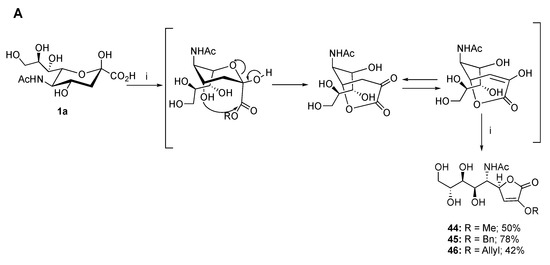 Intramolecular Lactones of Sialic Acids