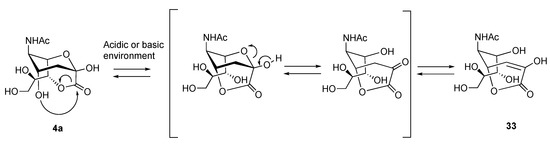 Intramolecular Lactones of Sialic Acids