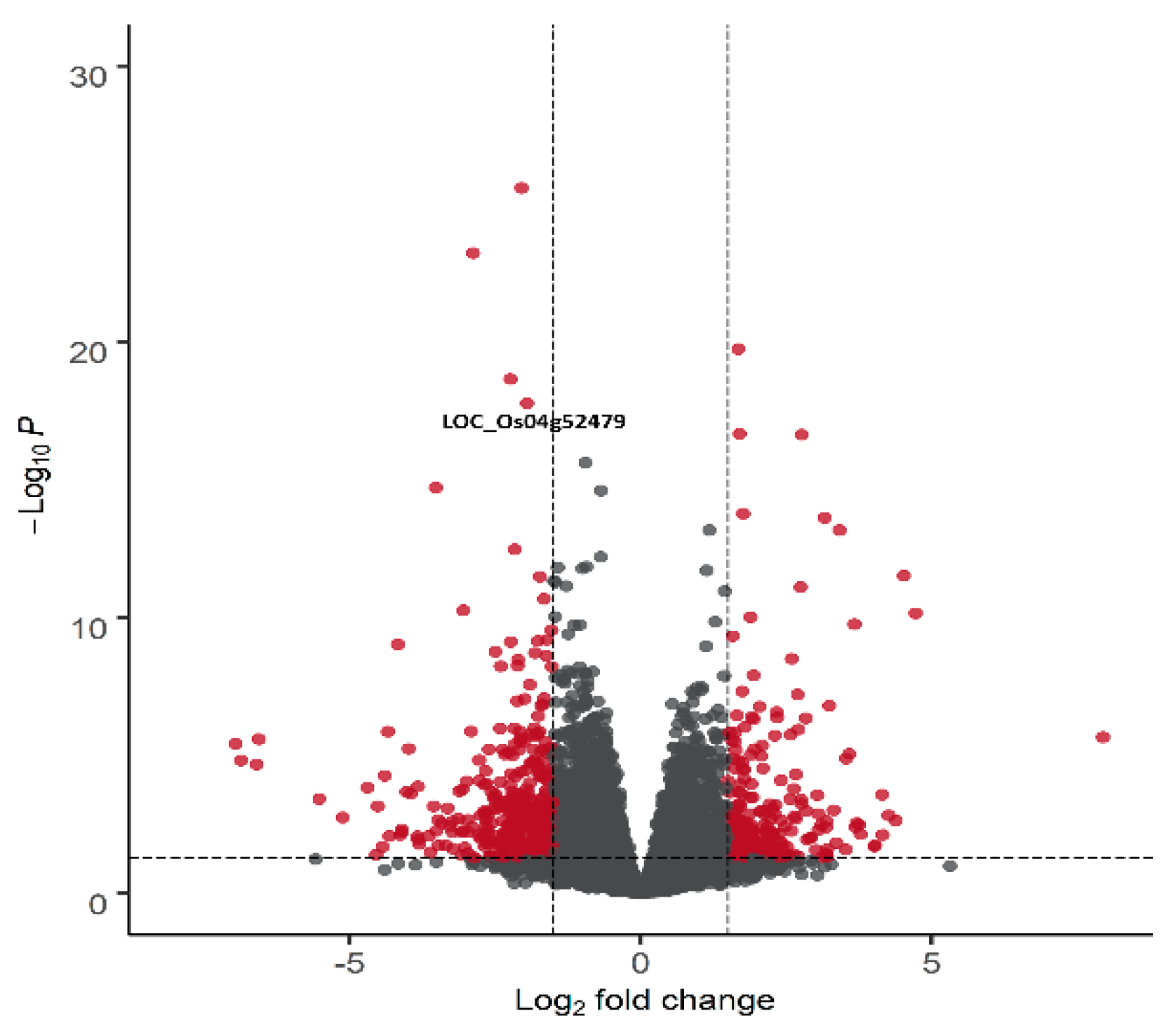 IJMS | Free Full-Text | A Novel Mutation of the NARROW LEAF 1 Gene ...