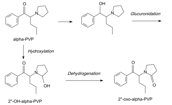 Flakka: New Dangerous Synthetic Cathinone on the Drug Scene