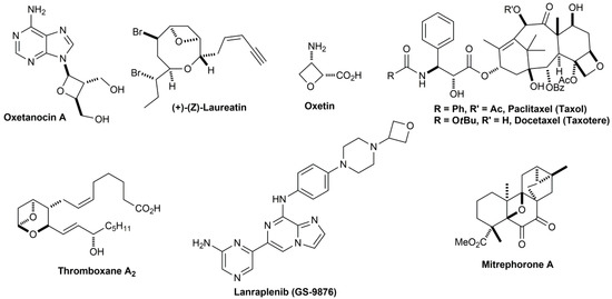 IJMS | Free Full-Text | Chemical Space Exploration of Oxetanes