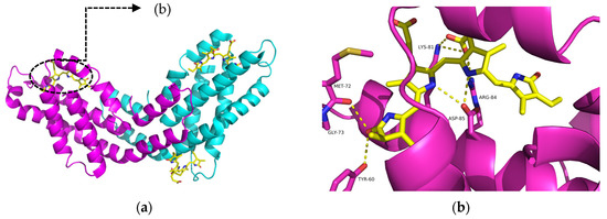 Molecular Interaction of Protein-Pigment C-Phycocyanin with Bovine ...
