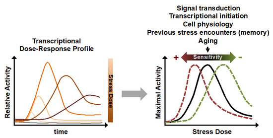 Capturing and Understanding the Dynamics and Heterogeneity of Gene ...