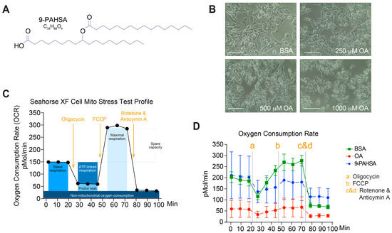 9-PAHSA Prevents Mitochondrial Dysfunction and Increases the Viability ...
