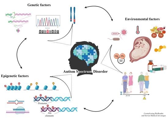IJMS | Free Full-Text | An Overview of the Main Genetic, Epigenetic and ...
