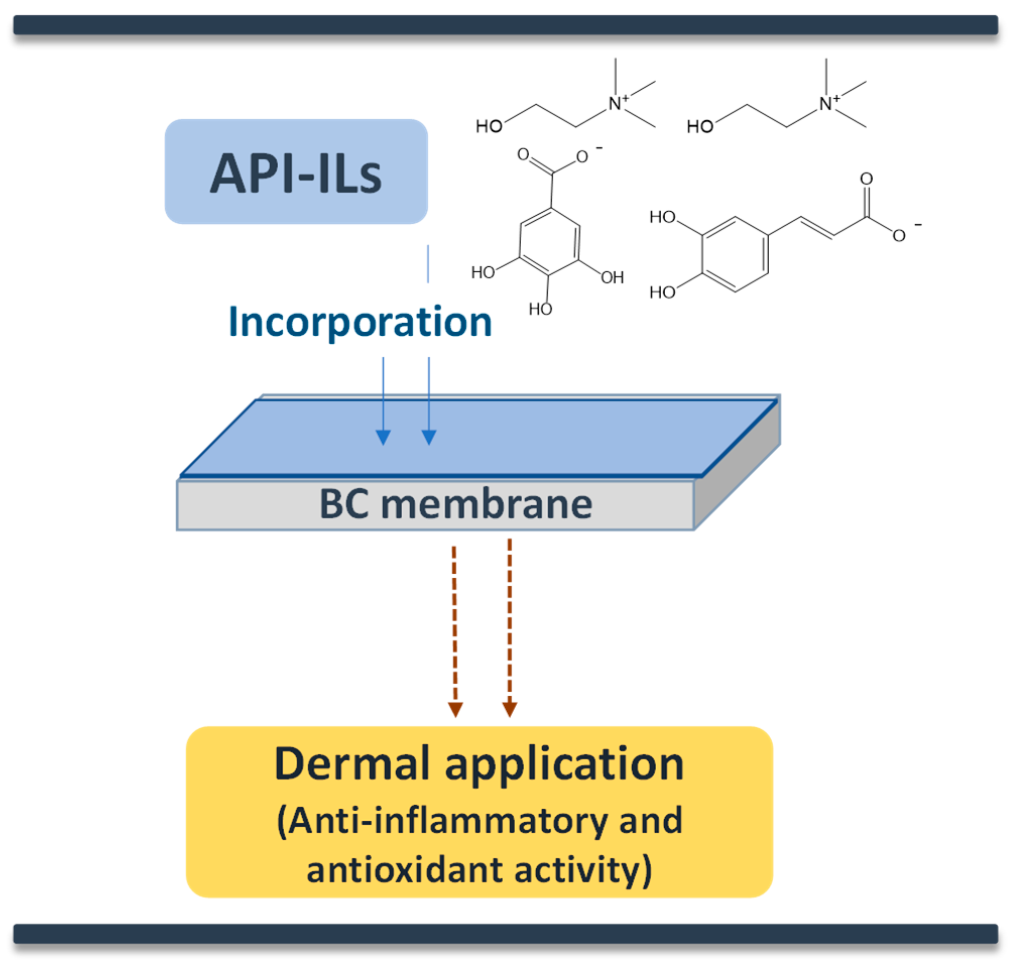 IJMS | Free Full-Text | The Role of Ionic Liquids in the Pharmaceutical ...