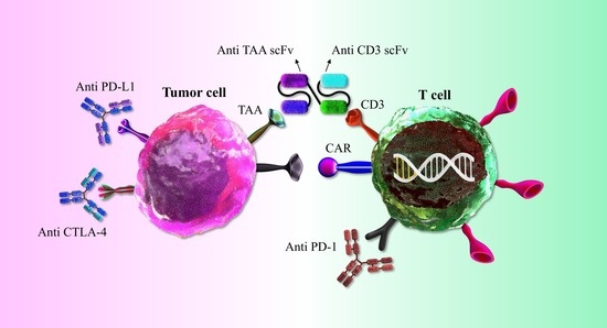 IJMS | Free Full-Text | Immune Checkpoints and CAR-T Cells: The ...
