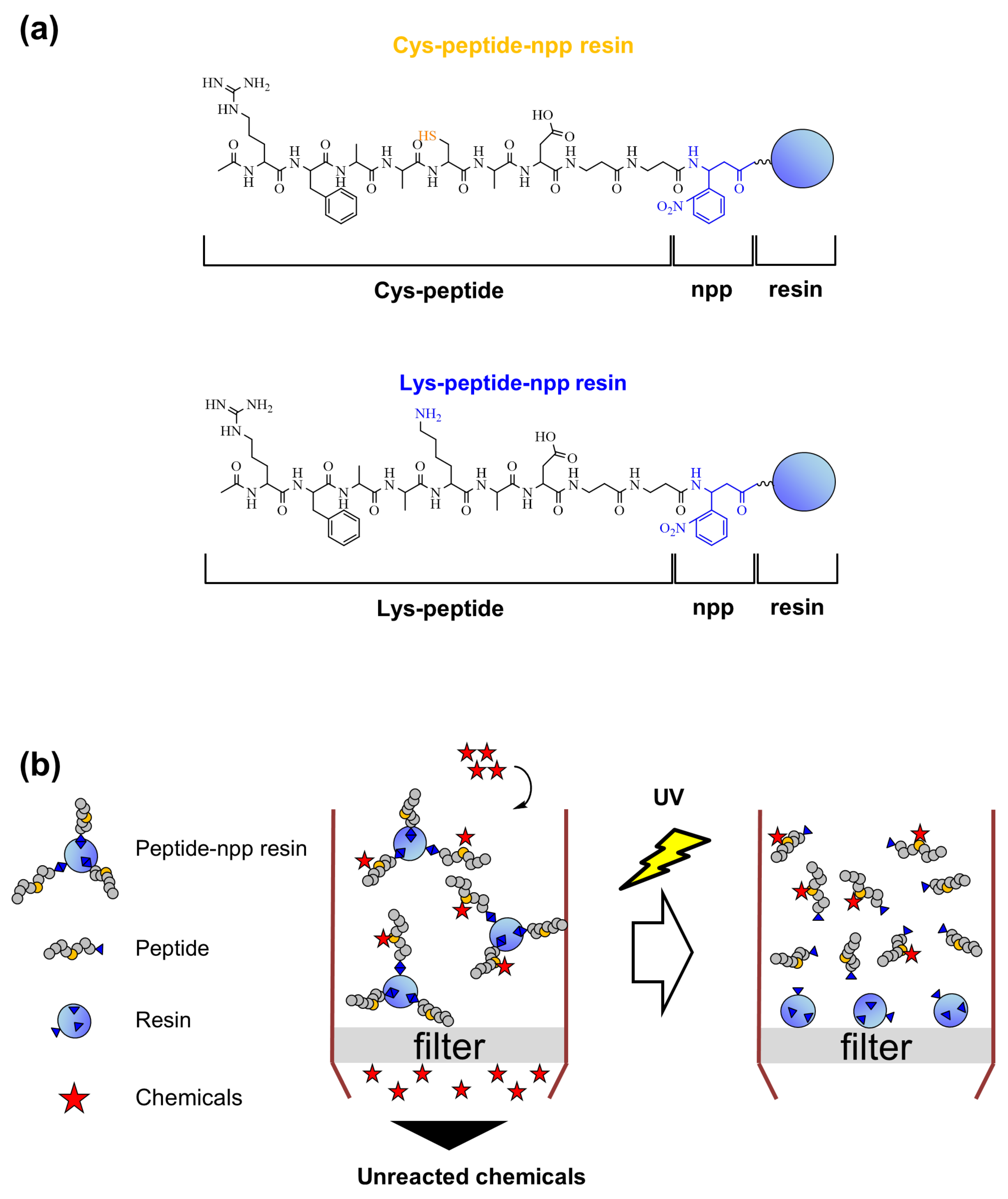 Mass Spectrometry-Based Solid Phase Peptide Reaction Assay for ...
