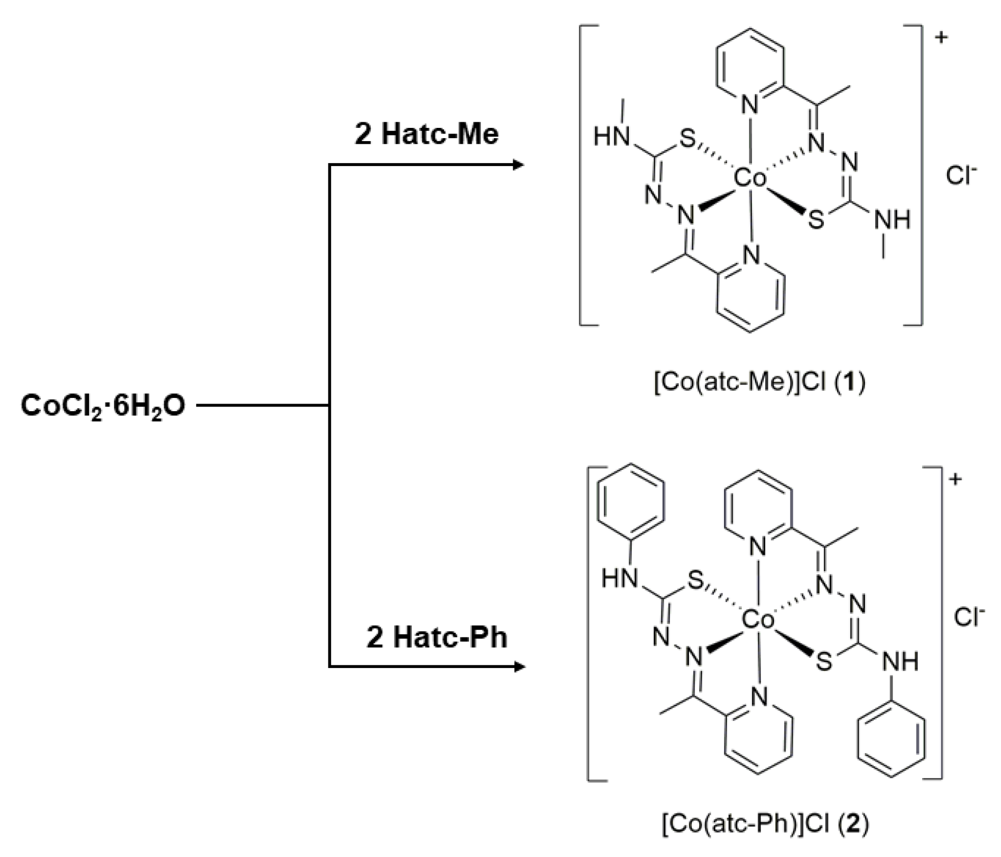 Fragmentation Study, Dual Anti-Bactericidal and Anti-Viral Effects and ...