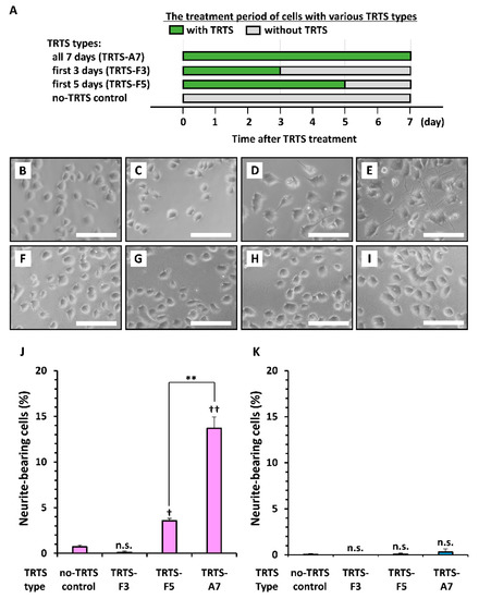 Characterization of PC12 Cell Subclones with Different Sensitivities to ...