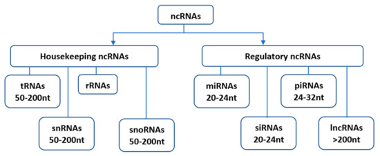 Plant Non-Coding RNAs: Origin, Biogenesis, Mode of Action and Their ...