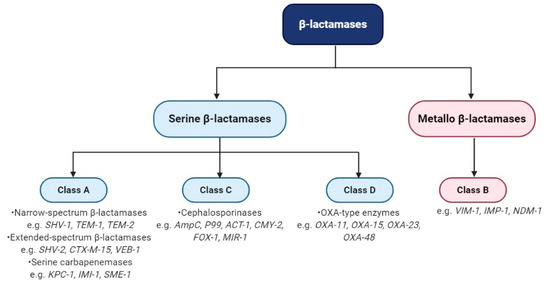 IJMS | Special Issue : New Beta-Lactams, Beta-Lactamase Inhibitors and Targets for Beta ...