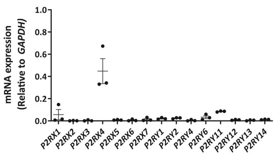 P2Y2 and P2X4 Receptors Mediate Ca2+ Mobilization in DH82 Canine ...