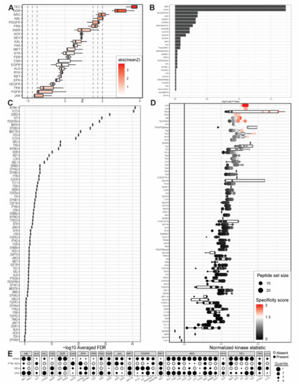 IJMS | Free Full-Text | Kinome Array Profiling of Patient-Derived ...
