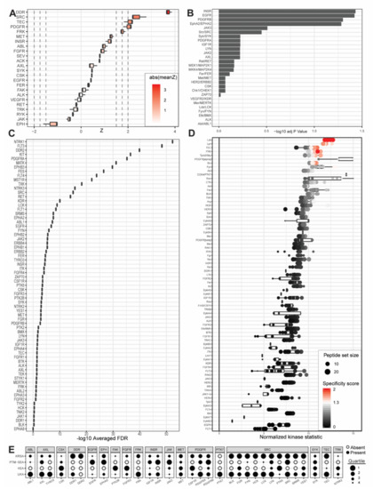IJMS | Free Full-Text | Kinome Array Profiling of Patient-Derived ...